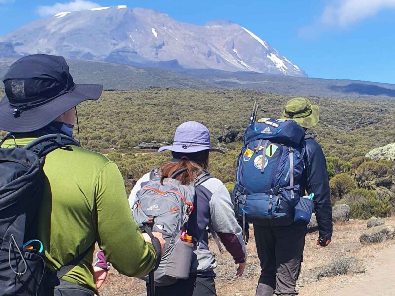 Home - Operation Kilimanjaro