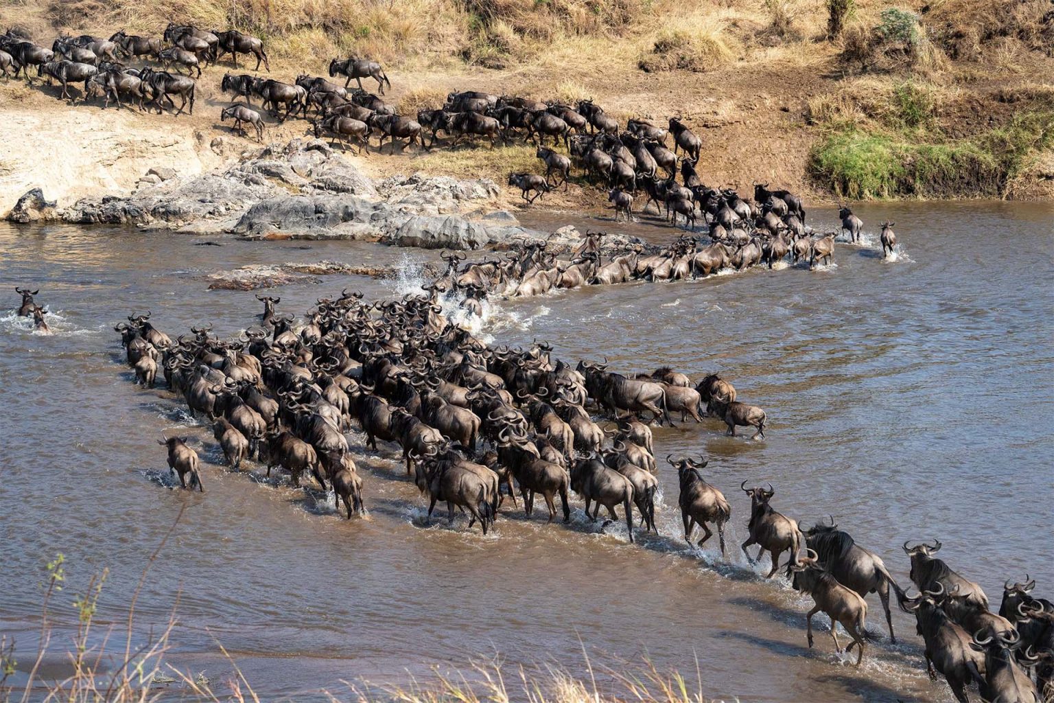 Serengeti Migration Safari - Operation Kilimanjaro