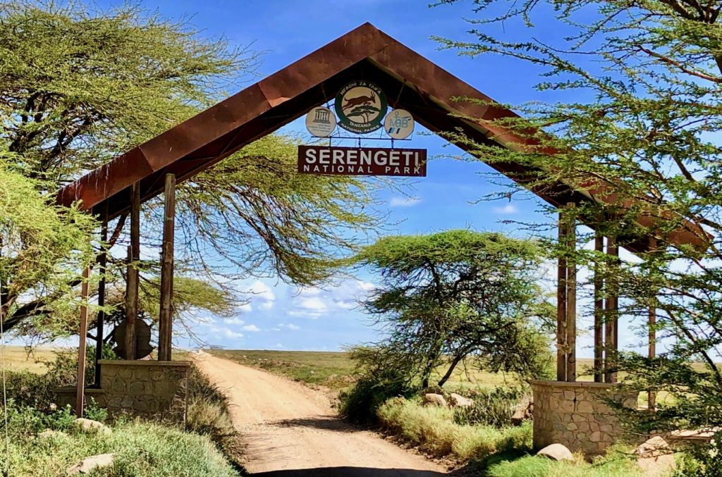 Serengeti National Park - Operation Kilimanjaro